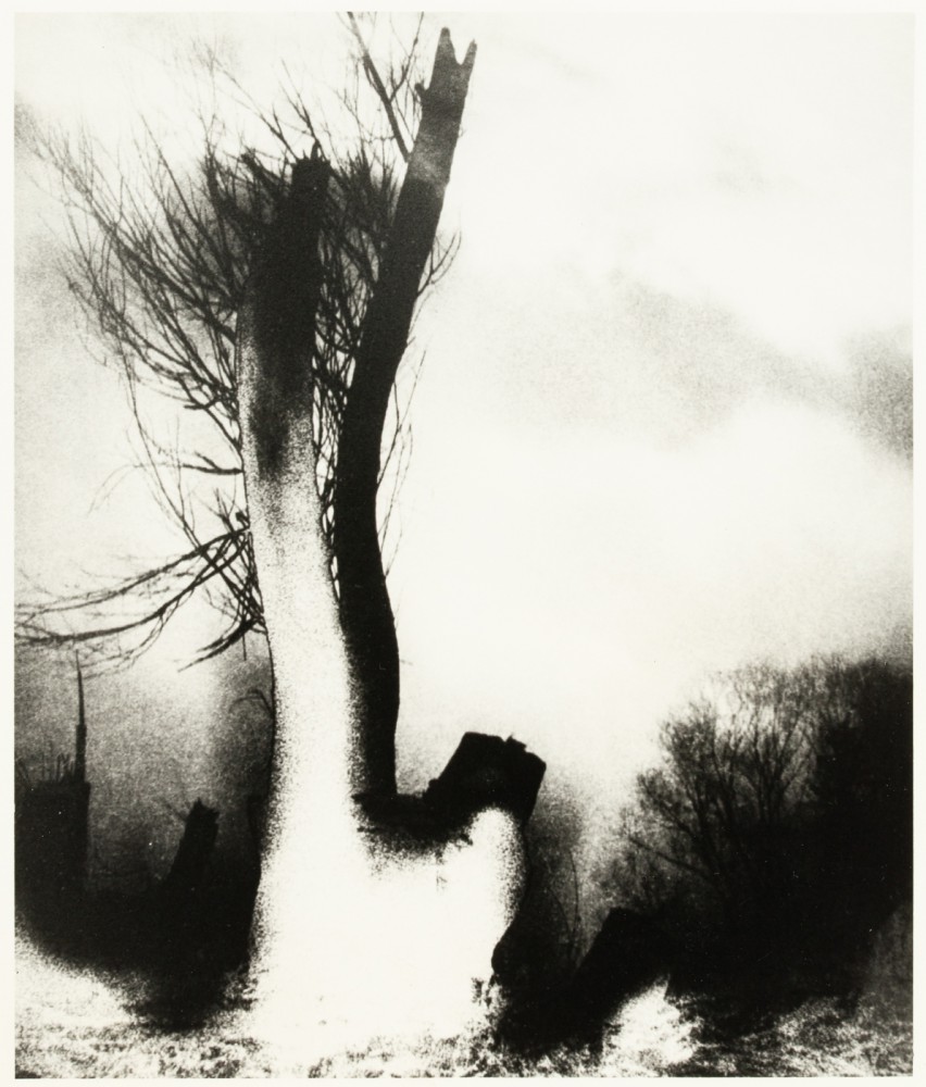 Edward Hartwig, "Samotne drzewo" | CONNAISSEUR Kraków - Salon Dzieł Sztuki